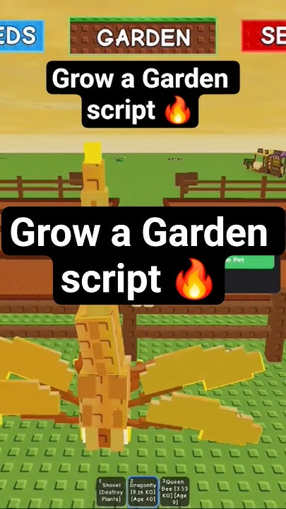 grow a garden script #roblox #freescript #minecraft #روبلوكس #سكربت # ...