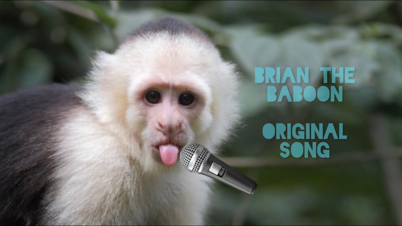 Monkey Business Bonus - Song with Brian Voice Effect - YouTube