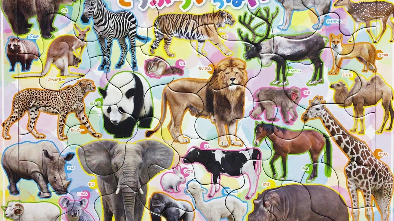 Animals Puzzle Many animals どうぶつ パズル どうぶついっぱい - YouTube
