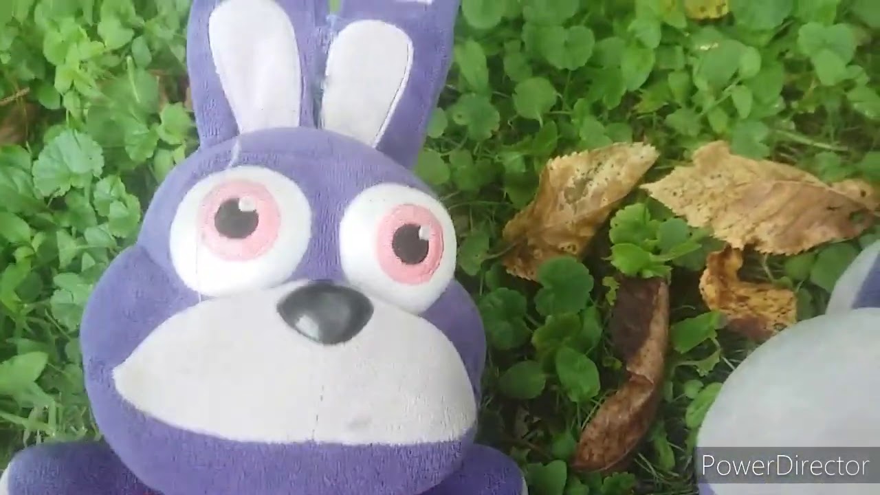 *Read desc* FNaF Plush - Bonnie & Bonzo MISSING - YouTube