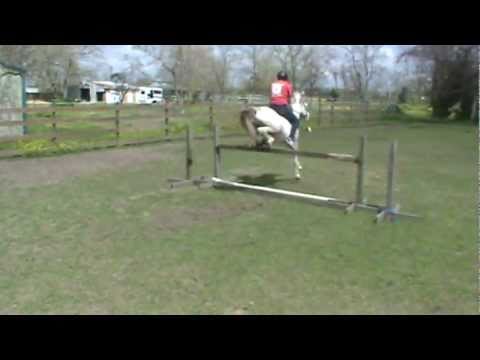 Farting Horse!!!! (FUNNY)