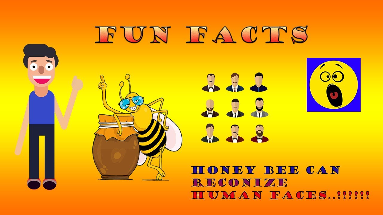 Mind blowing fun facts (Must watch) - YouTube