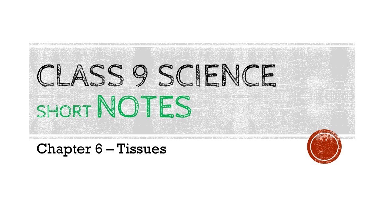 Class 9 Science Short Notes Chapter 6 Tissues YouTube class-9-science-short-notes-chapter-6-tissues-youtube