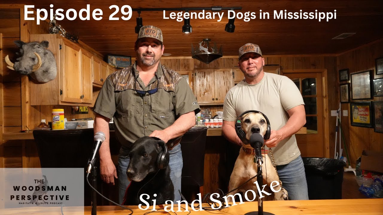 Legendary Mississippi Tracking dogs, Si and Smoke - YouTube
