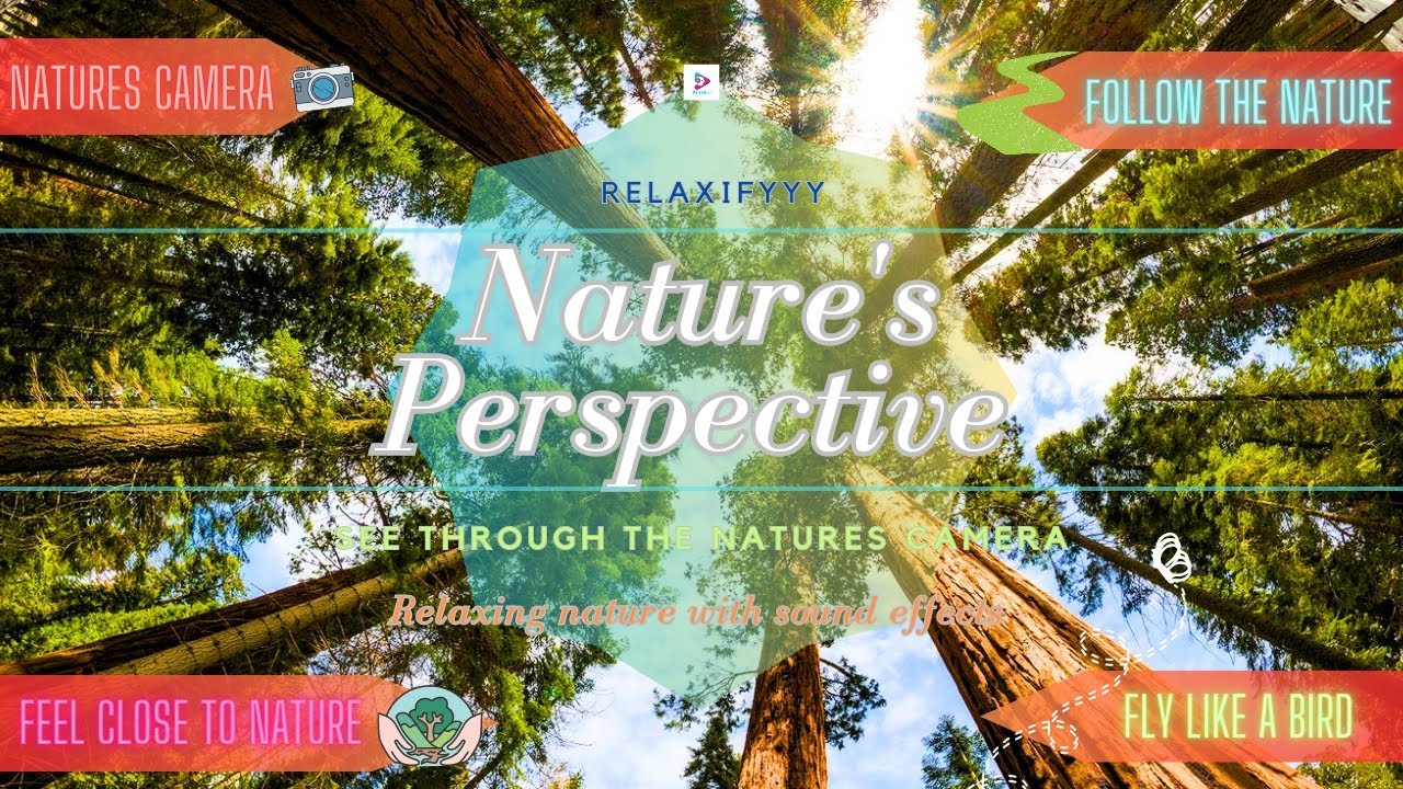 Nature's Perspective 🌿 | See Through The Natures Eyes👀 | Fly like a ...