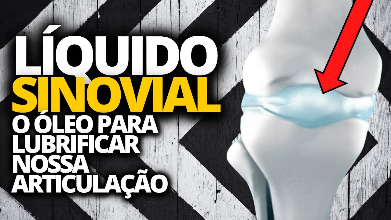 Qual é A Função Do Líquido Sinovial - FDPLEARN