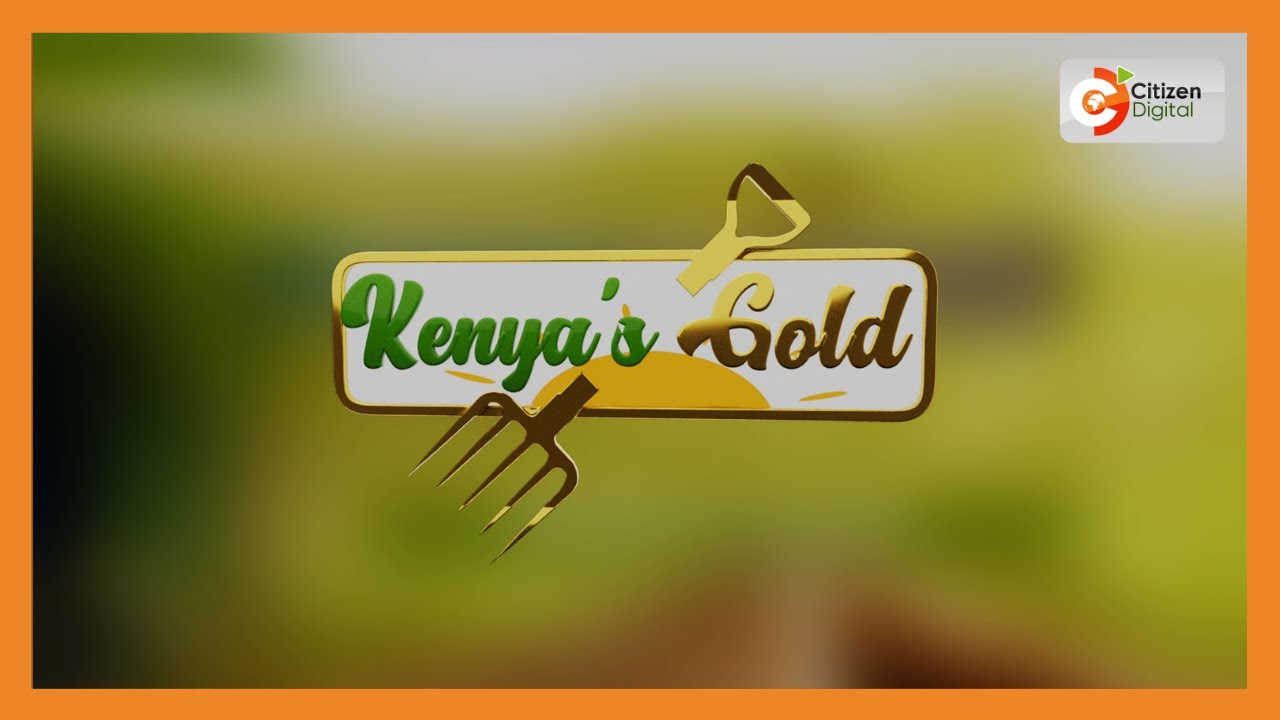 | Kenya's Gold | Seed Sowing Machine: Agri Nation - YouTube