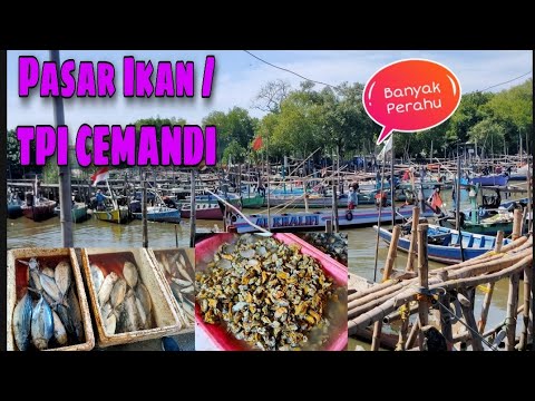 Ke Pasar Ikan Sedati | TPI Cemandi - YouTube