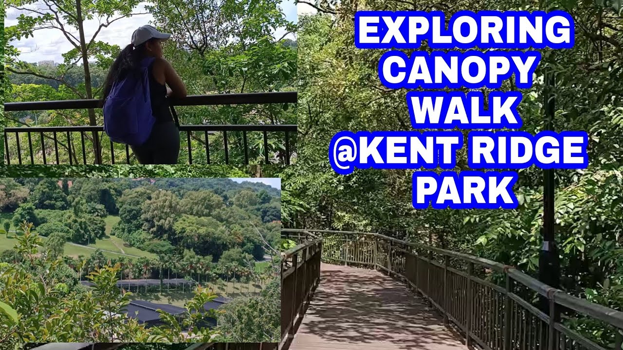 #Part2 /Exploring canopy walk @Kent Ridge PARK🌴🌳🌱🌺🌹 - YouTube