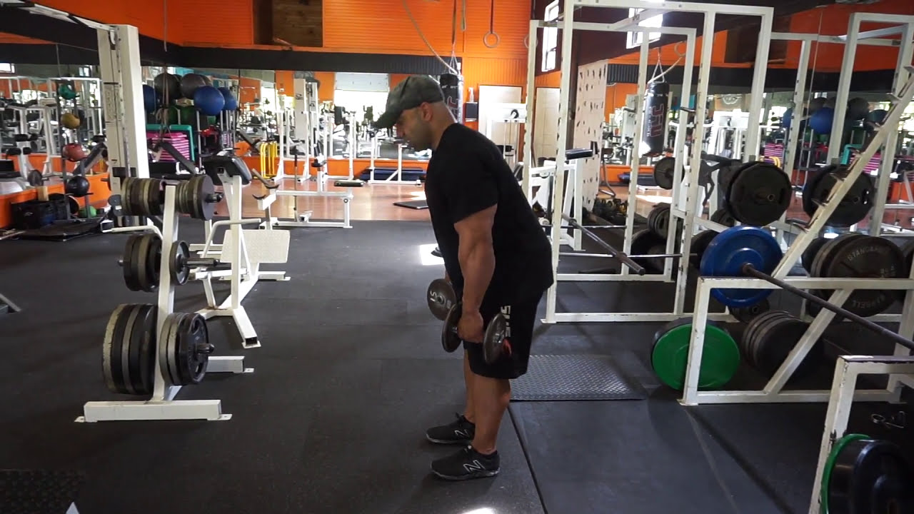 Dumbbell Bent Over Lateral Raises (Pronated Grip) - YouTube