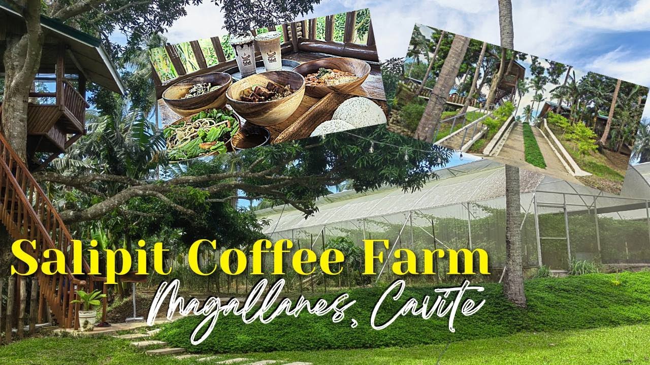 Salipit Coffee Farm #magallanes #aejtv #roadtrip - YouTube