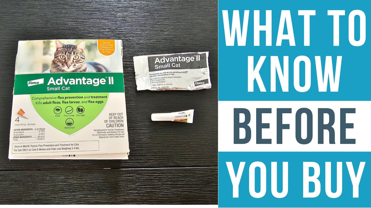 Review: Advantage II Small Cat Flea Treatment & Prevention - YouTube