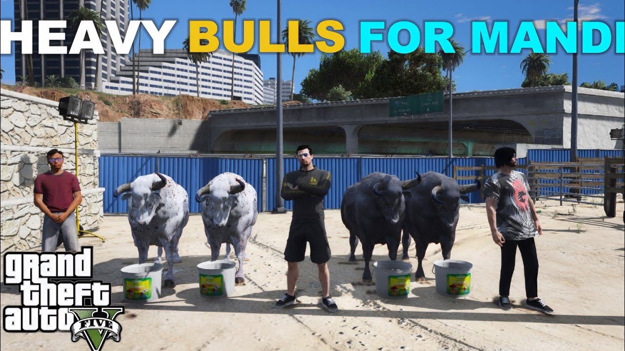 HEAVY BULLS FOR MANDI!!/MANDI SERIES EPISODE 8/GTA 5 REAL LIFE MODS VIDEO. - YouTube