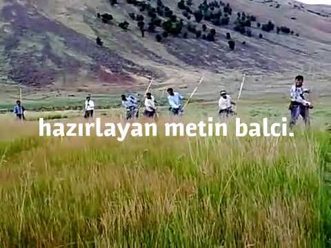 Tirpan la tarla biçme.