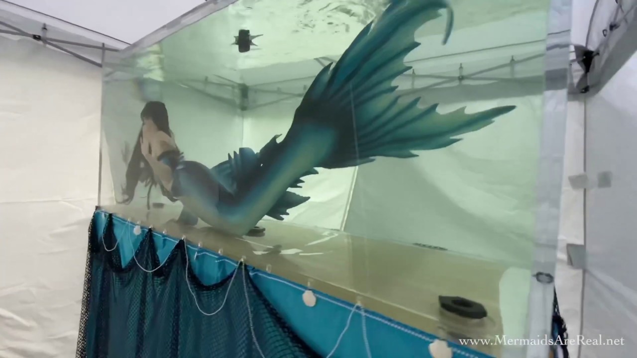 Live Decor Mermaid Tank by Blue Mermaid Designs - YouTube