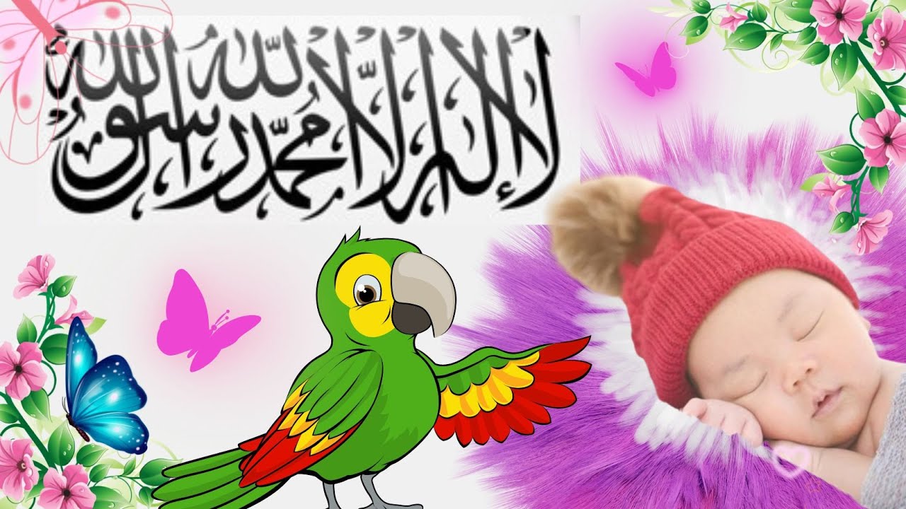 La ilaha illallah Muhammadur Rasulullah | islamic lori | Islamic kids ...