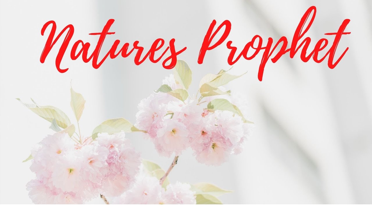 The Nature Prophet moves - YouTube