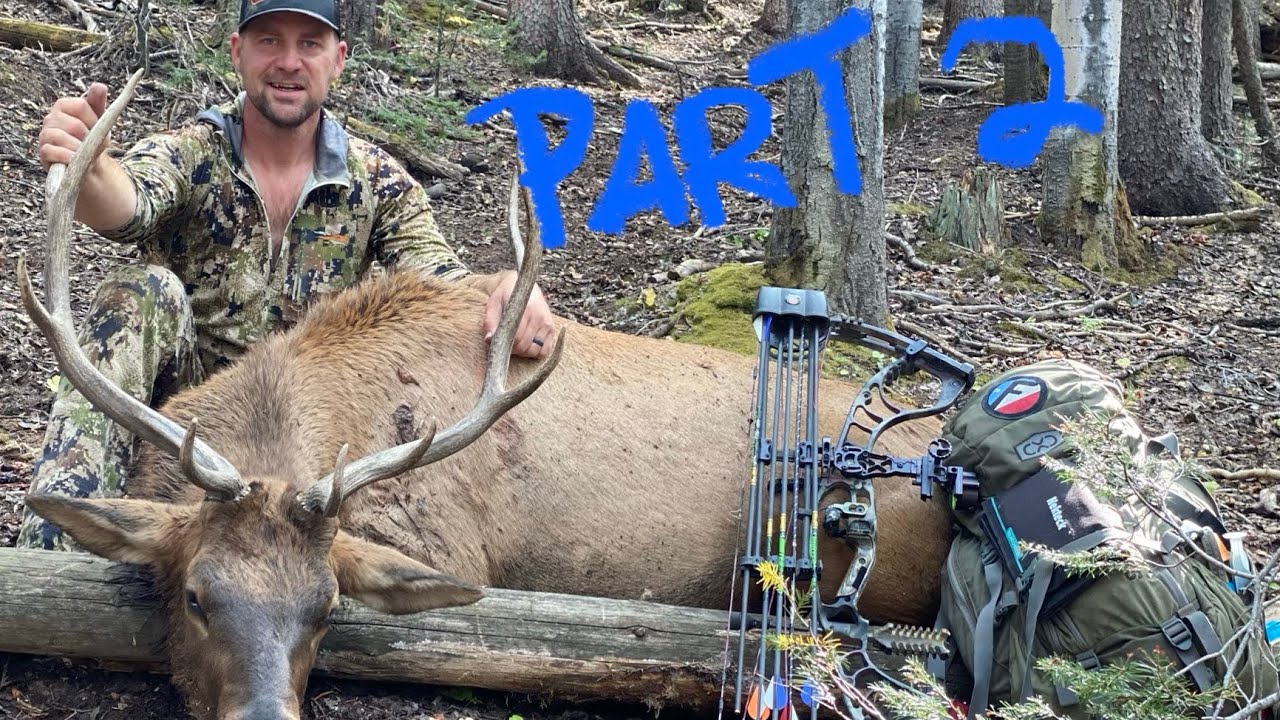 Bull Elk Call In step by step | Solo Bowhunting - YouTube