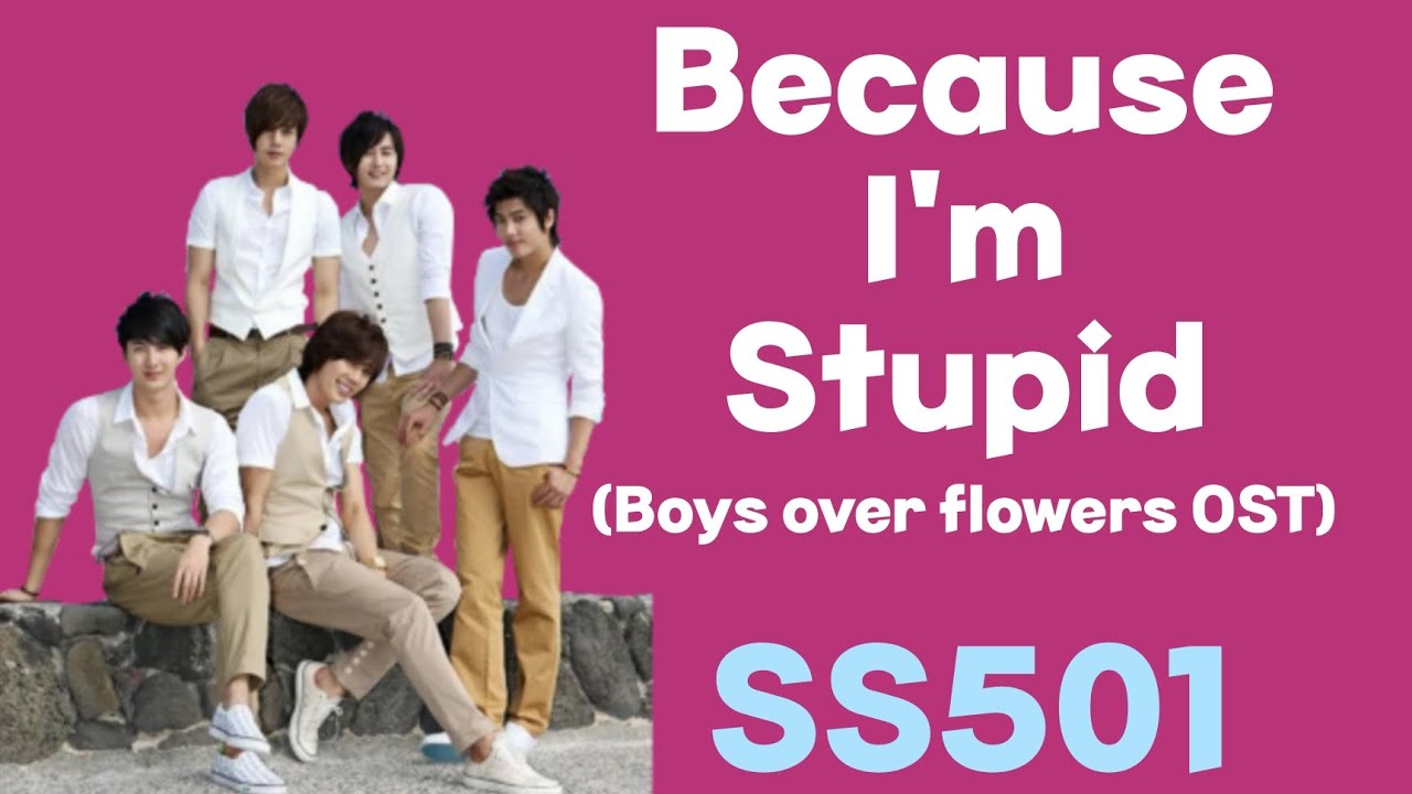 Because I'm Stupid [Boys Over Flowers OST] – SS501 (Lirik terjemahan ID) - YouTube