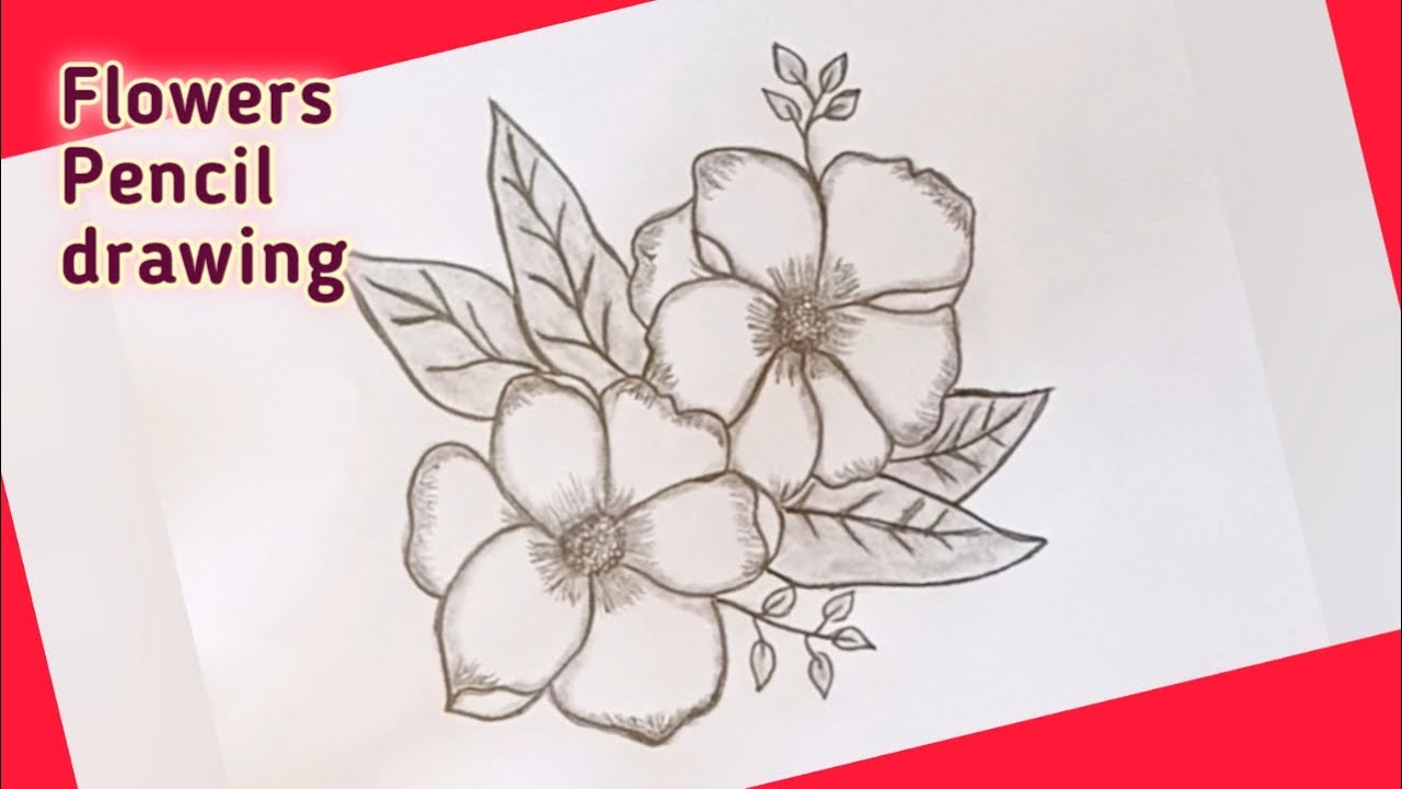 How to draw Flowers Easy | Flower Pencil drawing | Pencil sketch ...