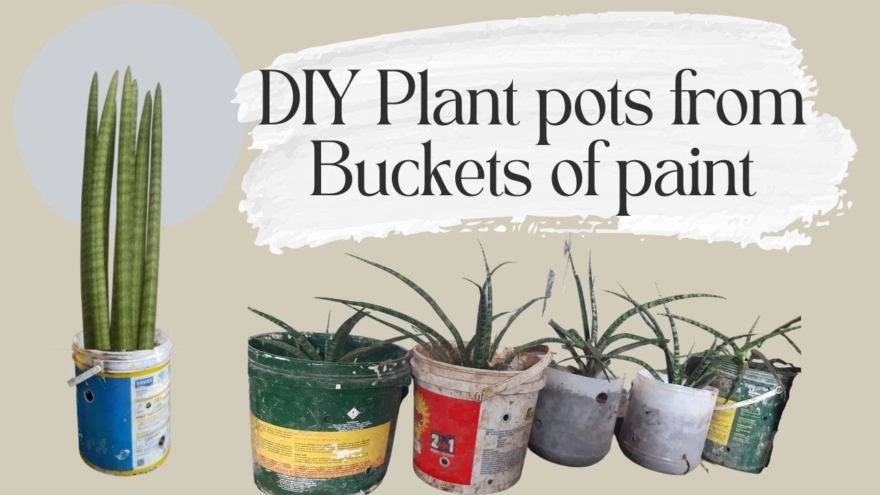 DIY Plant Pots from Buckets of Paint (mga timba ng pintura) - YouTube