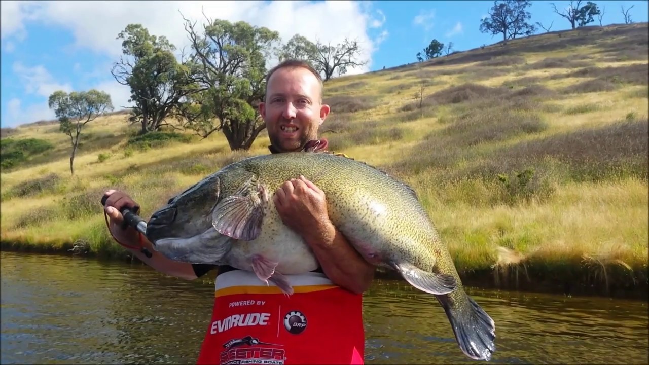 Huge Murray Cod at Ben Chifley - Dick 'n' Nads Fishing Thrills - YouTube