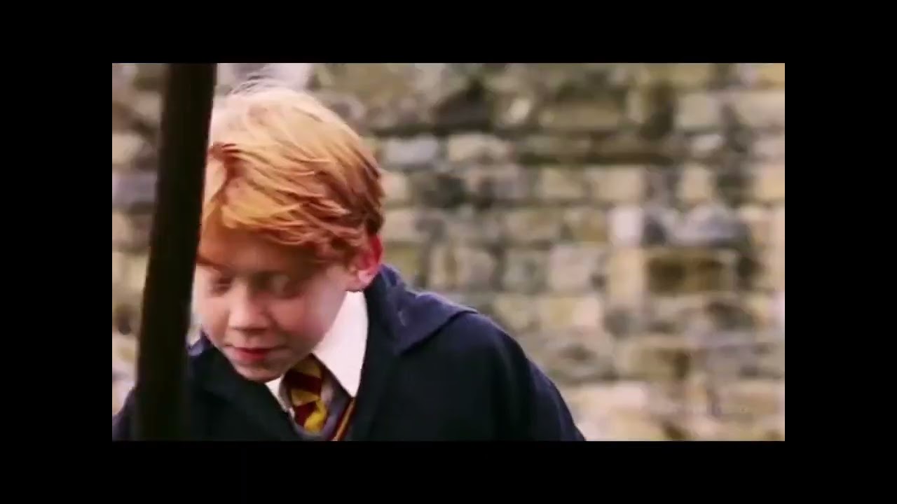 Ron Weasley being hit in the face by a broomstick on loop - YouTube