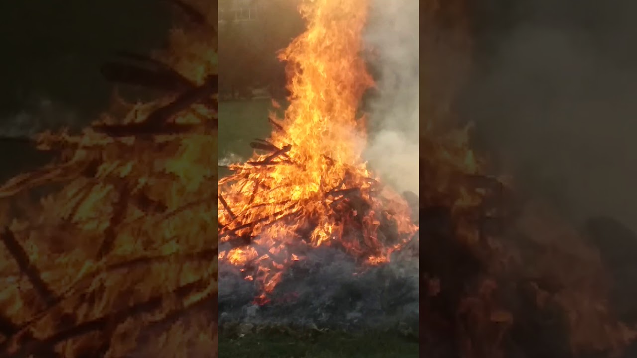 This is the coolest fire Ever!! - YouTube