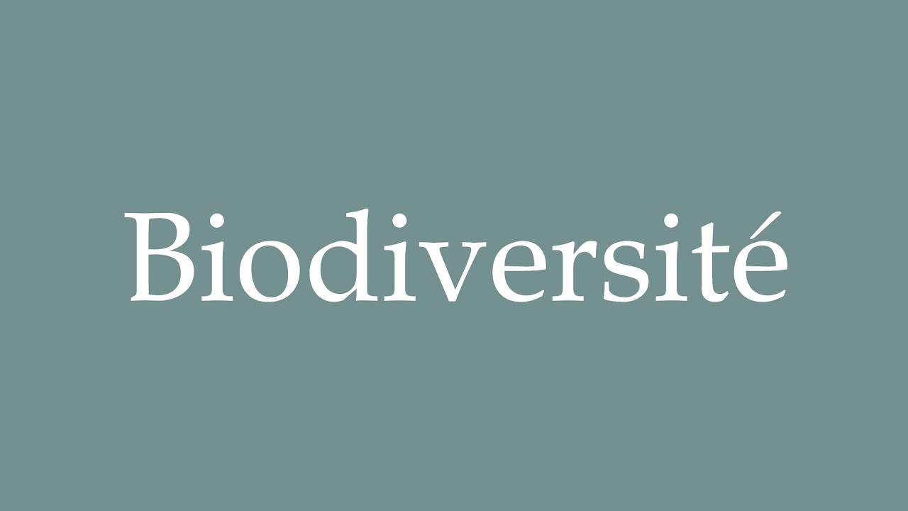 How to Pronounce ''Biodiversité'' (Biodiversity) Correctly in French ...