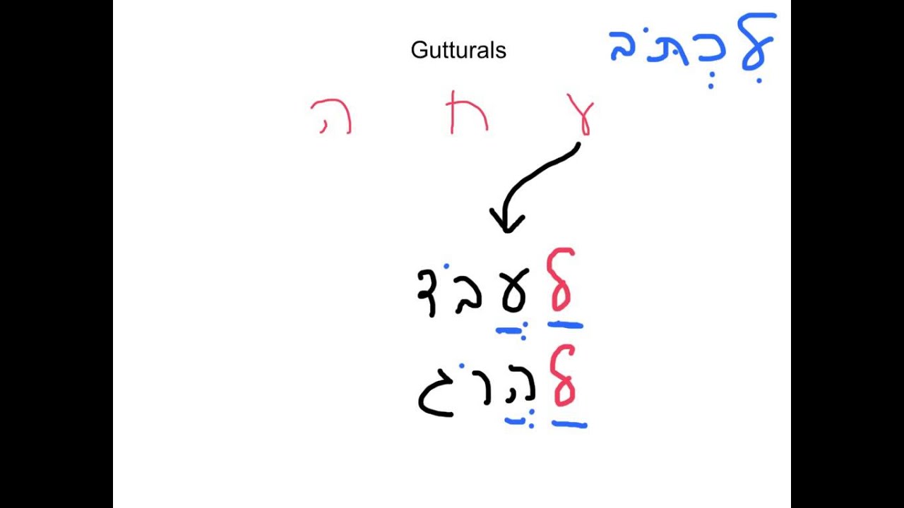 3.5:4 Qal Infinitive Const Gutturals - YouTube