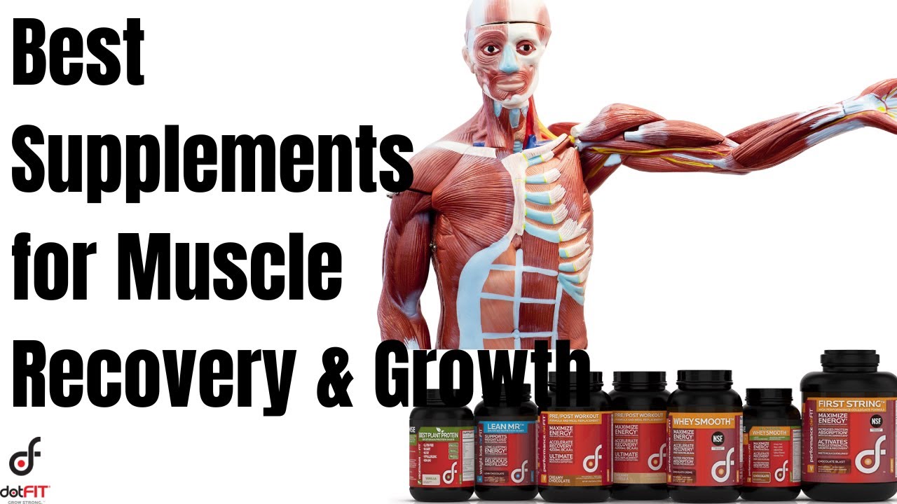 Best Supplements for Muscle Recovery and Growth - YouTube