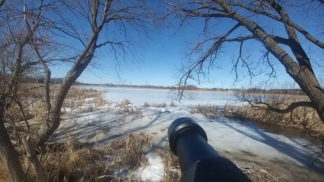 What to know about Pentax Continuous Auto Focus (AF.C), Auto, SEL ...