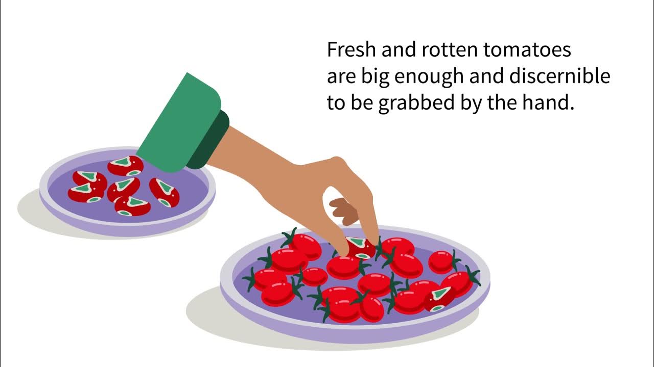 Separation Techniques of Heterogeneous Mixtures: Case of Solid-Solid ...
