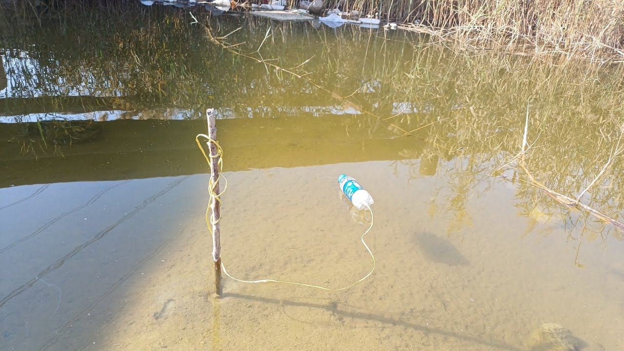 "Fishing with a Water Bottle! Catching Fish from the River with a ...