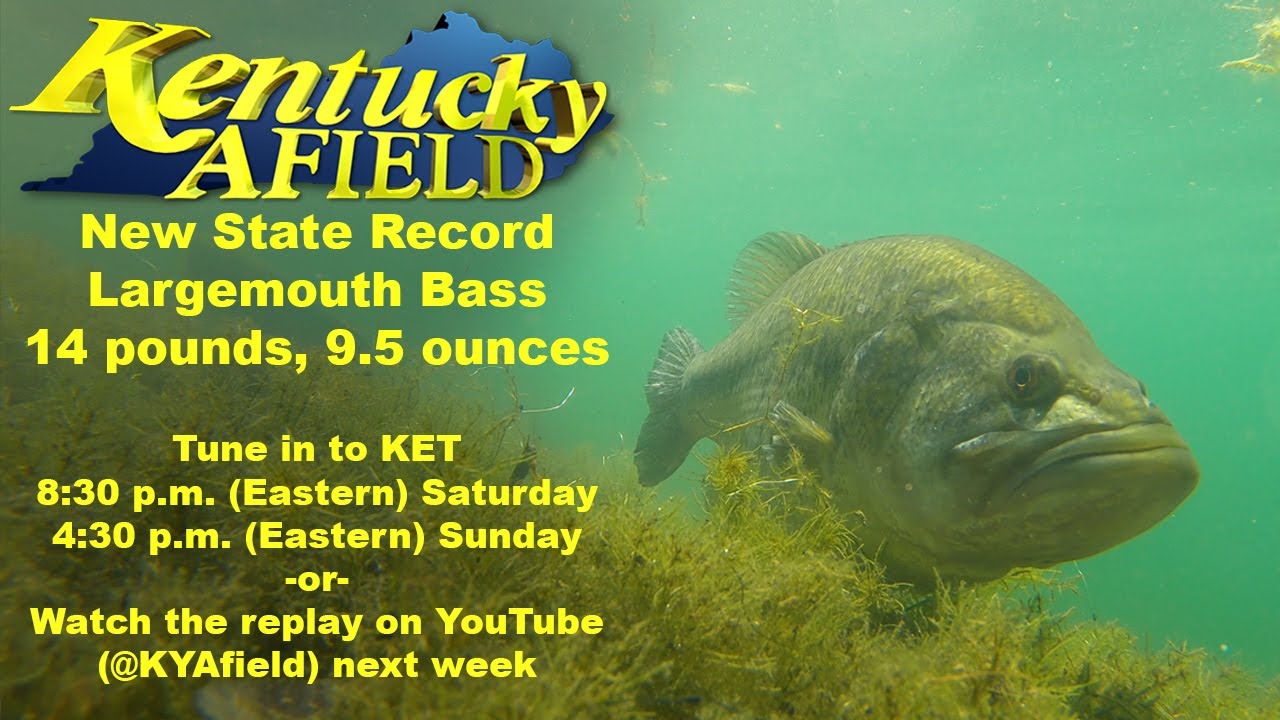 NEW Kentucky State Record Largemouth Preview - YouTube