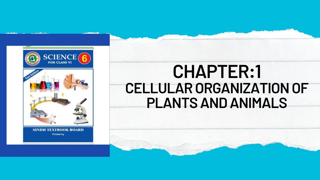 Chapter: 1 cellular Organization Of Plants And Animals , Class 6 ...