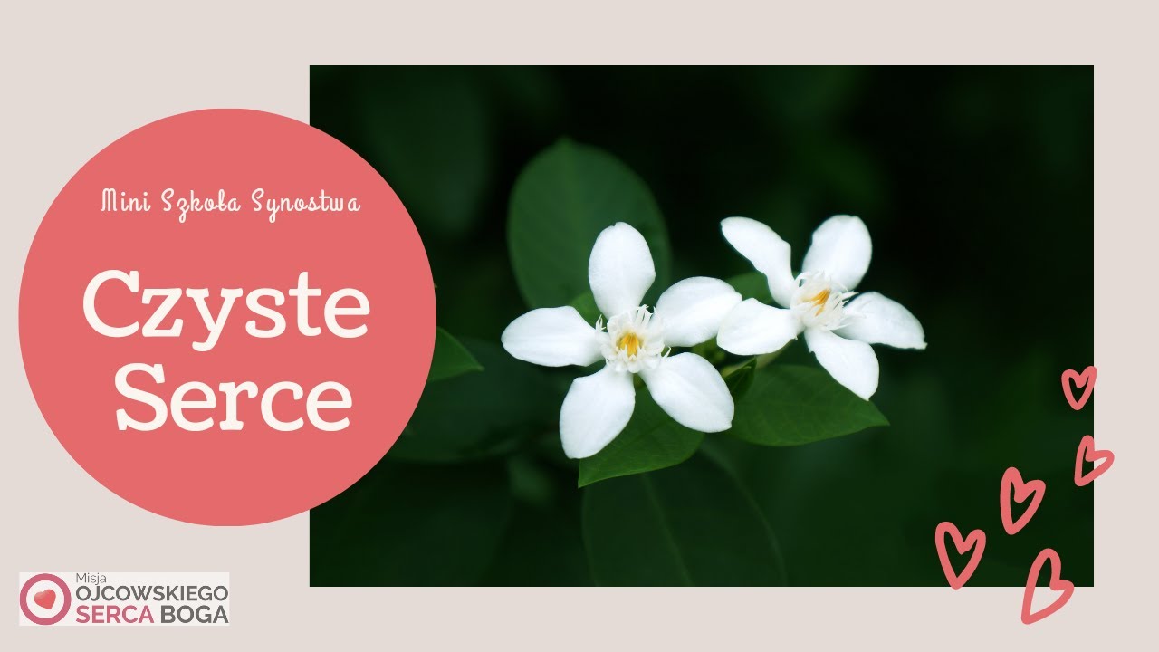 Czyste Serce / Ryszard Sadowski - YouTube