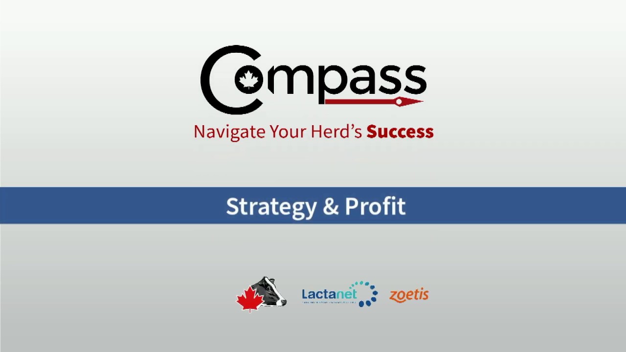 Compass: Strategy & Profit - YouTube