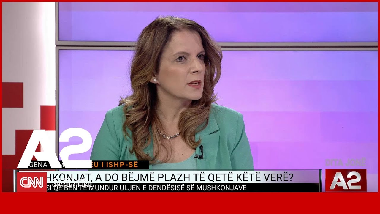 Lashtësia e gjuhës shqipe dhe zhvillimi i saj - Aktualitet