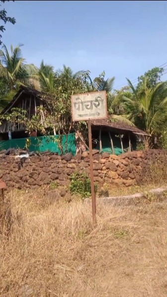 Kokani Mansa cha Gav | aplya gava cha nav comment Kara #कोकणसुख #कोकणचा ...