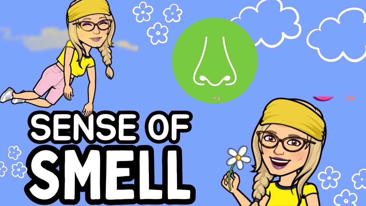 Sense of SMELL 👃-the nose | How to protect it | #colorfullearning ...