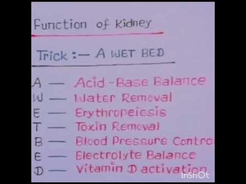 Function of Kidney Trick,Function of kidney, Biology, NCERT,Neet, - YouTube