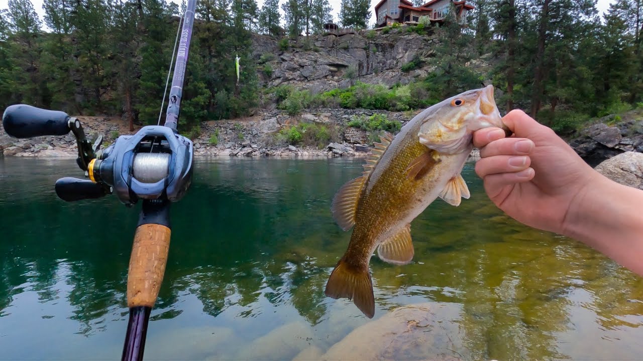 Sight Fishing River Smallmouth Bass | Spokane River Fishing Pt.1 - YouTube