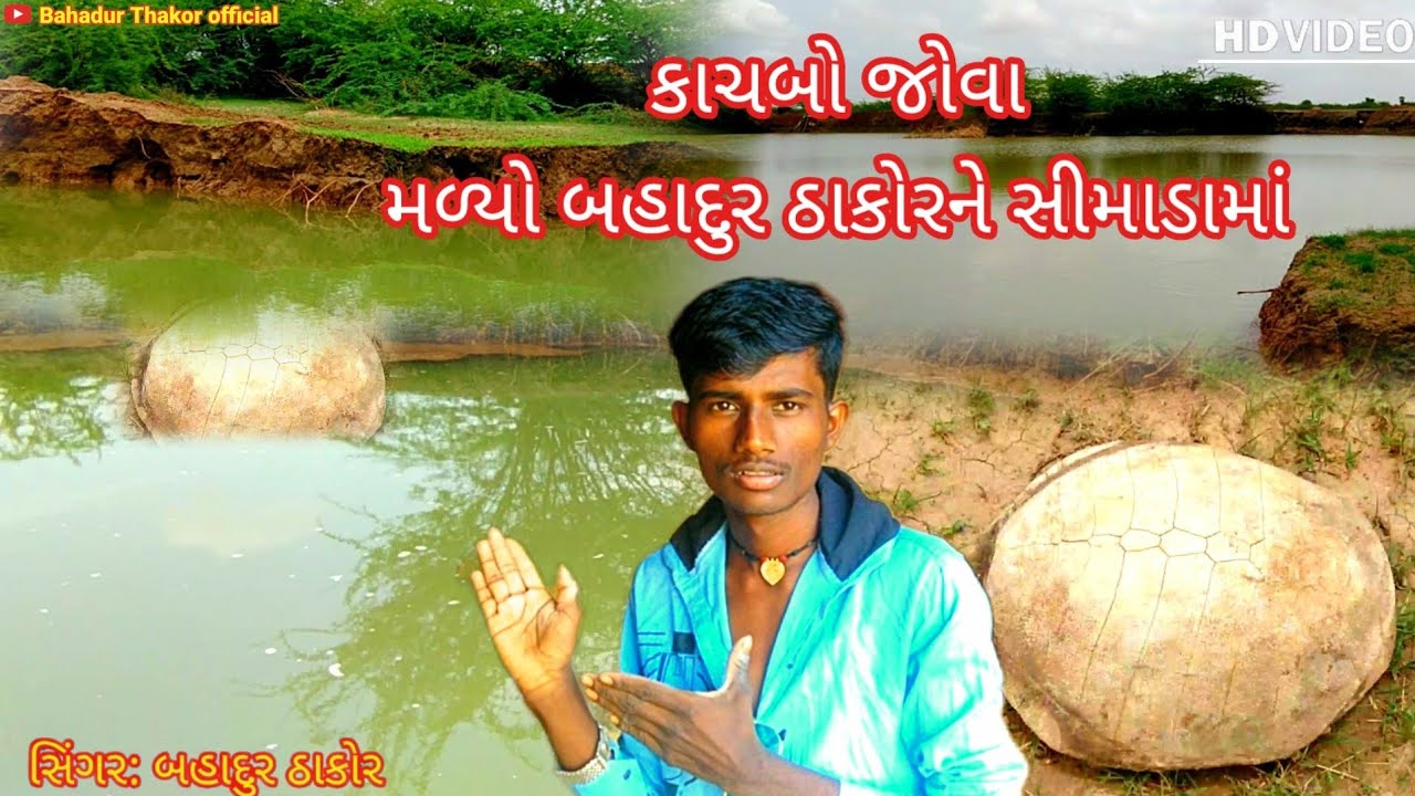 કાચબો જોવા મળ્યો બહાદુર ઠાકોરને સીમાડામાં / bahadur Thakor official ...