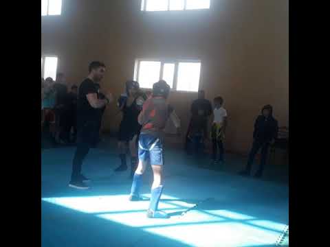 ALIM POYLU