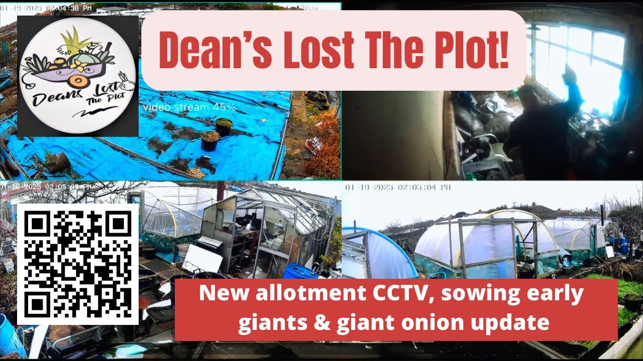 Deans Lost The Plot 12/1/25 New allotment CCTV, sowing early giants & giant onion update - YouTube