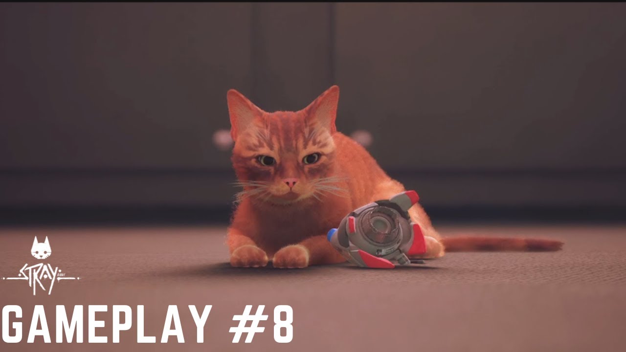 B12 died to save me - End of our journey | Stray #8 - YouTube