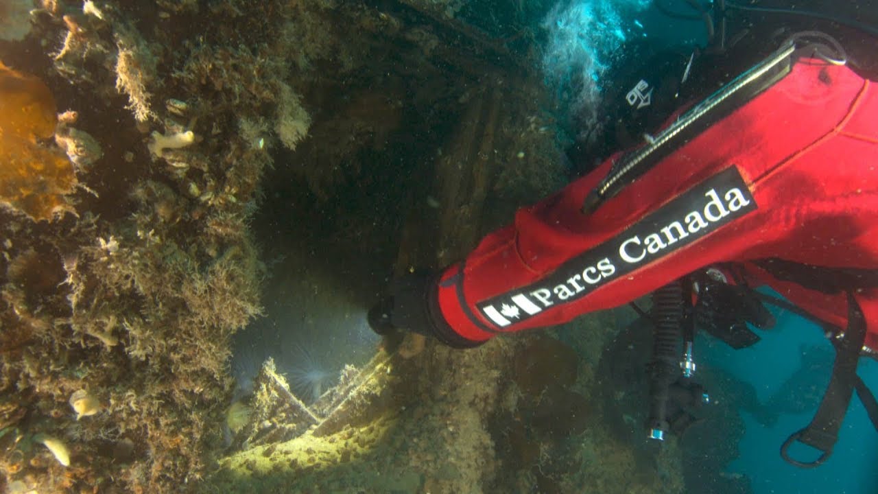 170-year-old shipwreck, HMS Terror, in remarkable condition - YouTube