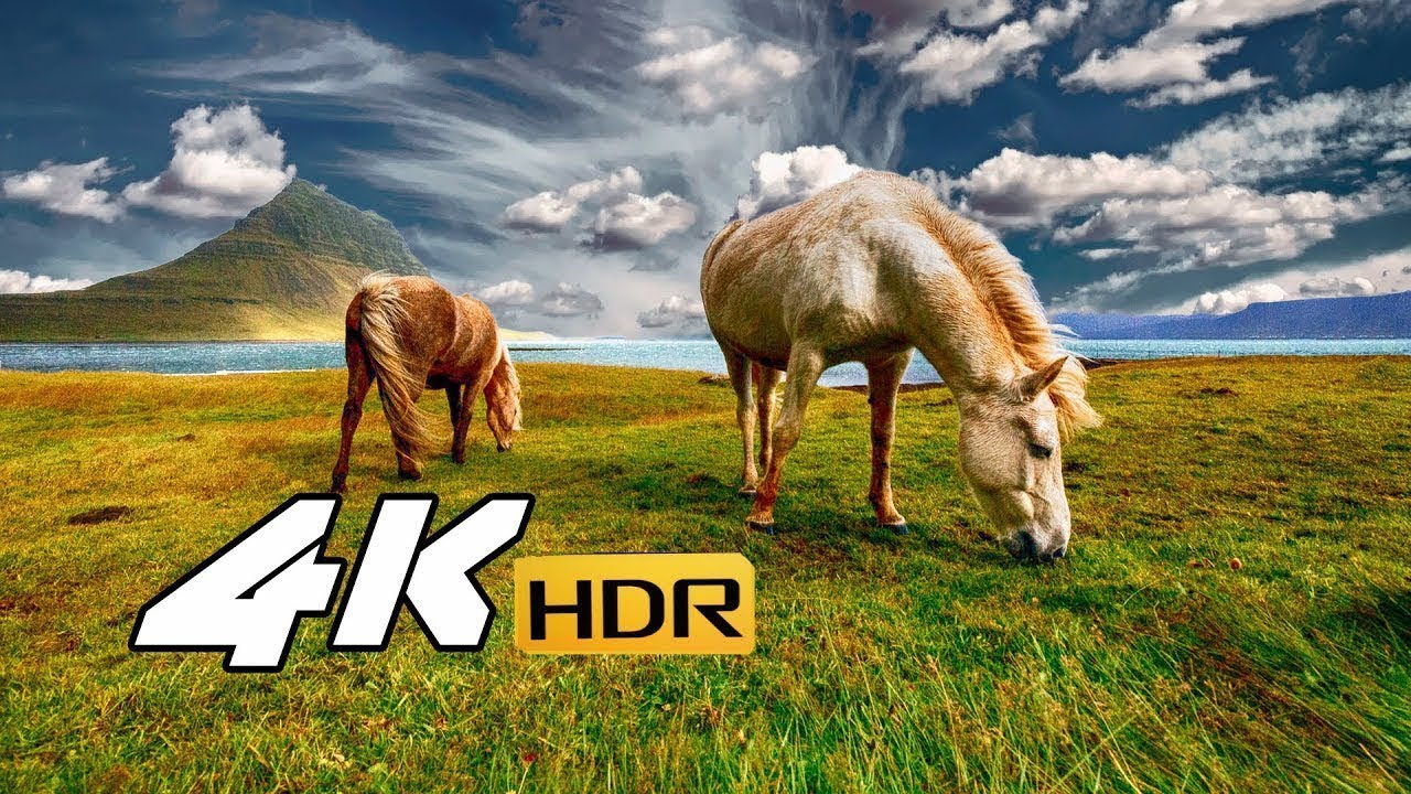 lg 4k video ultra demo hdr video 2160p for 4k oled tv - YouTube