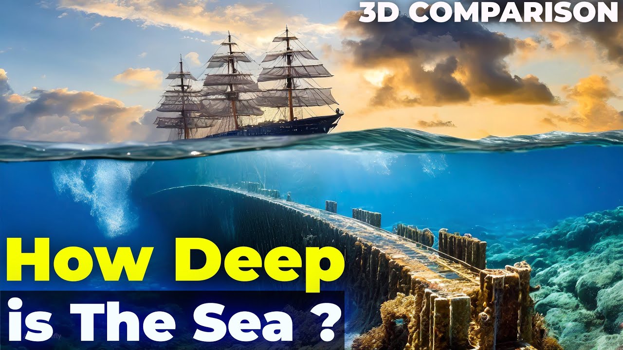 Ocean DEPTH Comparison | How Deep Is The Ocean | 3D Comparison - YouTube